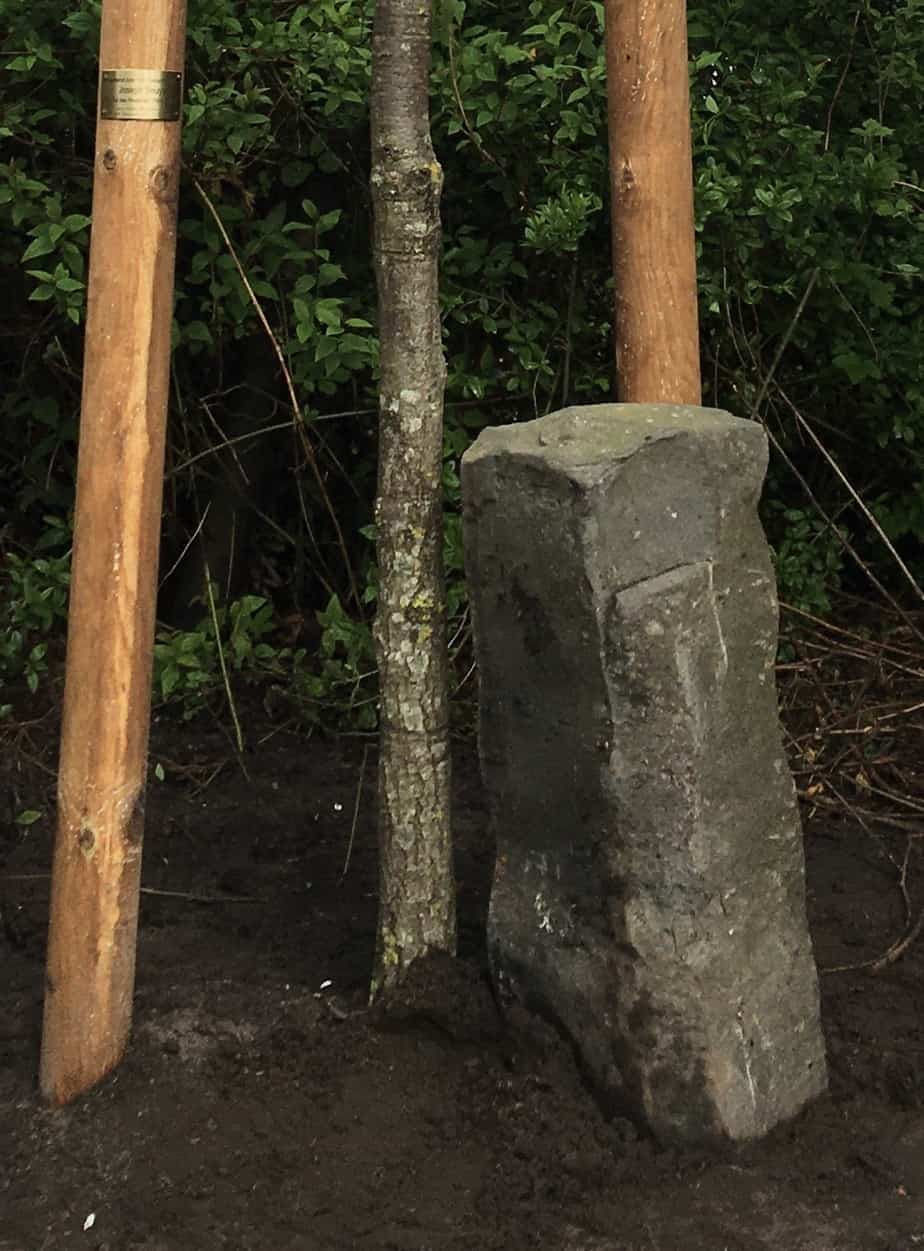 7000 Eichen in Oldenburg? Zum 100. Geburtstag von Joseph Beuys ...